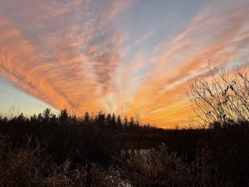 Best Forest Trails in Alpena | AllTrails