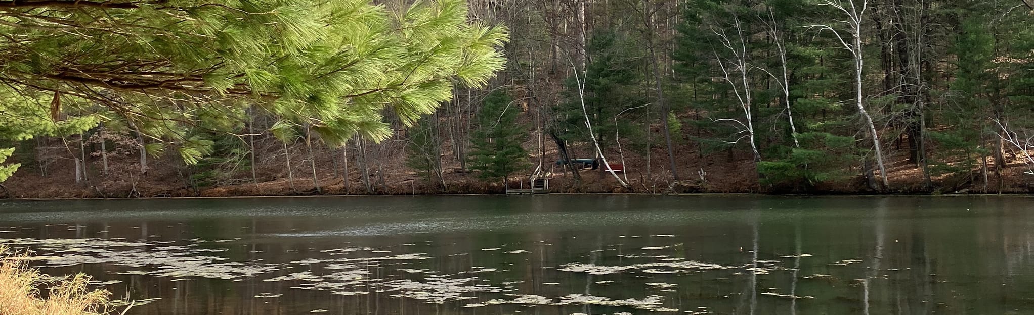 Bluff-Canyon Trail, Wisconsin - 121 Reviews, Map | AllTrails