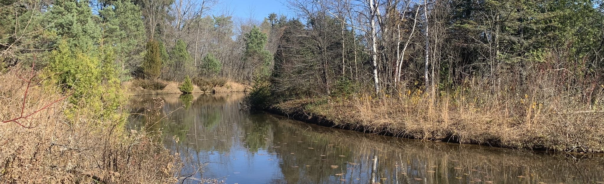 South Ravine Trail and Woodland Loop: 37 Reviews, Map - Wisconsin ...