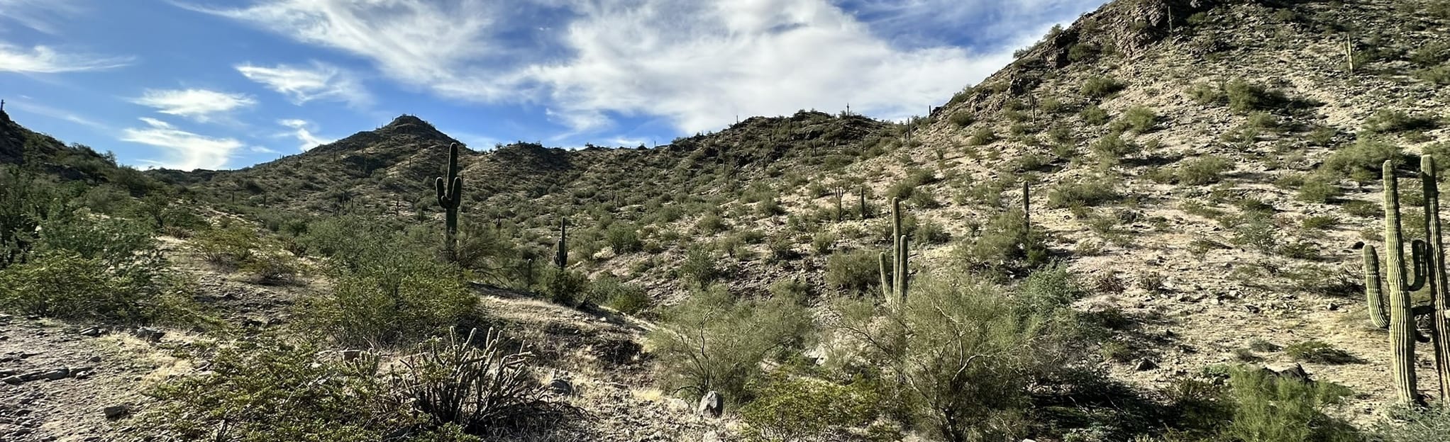 Estrella Mountain Trail Fest, Arizona - 10 Reviews, Map | AllTrails