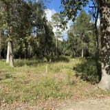 Spring Creek Greenway Trail, Texas - 848 Reviews, Map | AllTrails