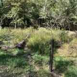 Spring Creek Greenway Trail, Texas - 848 Reviews, Map | AllTrails