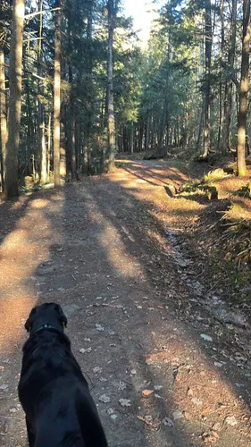 Best Hikes and Trails in Hardwick Trails | AllTrails