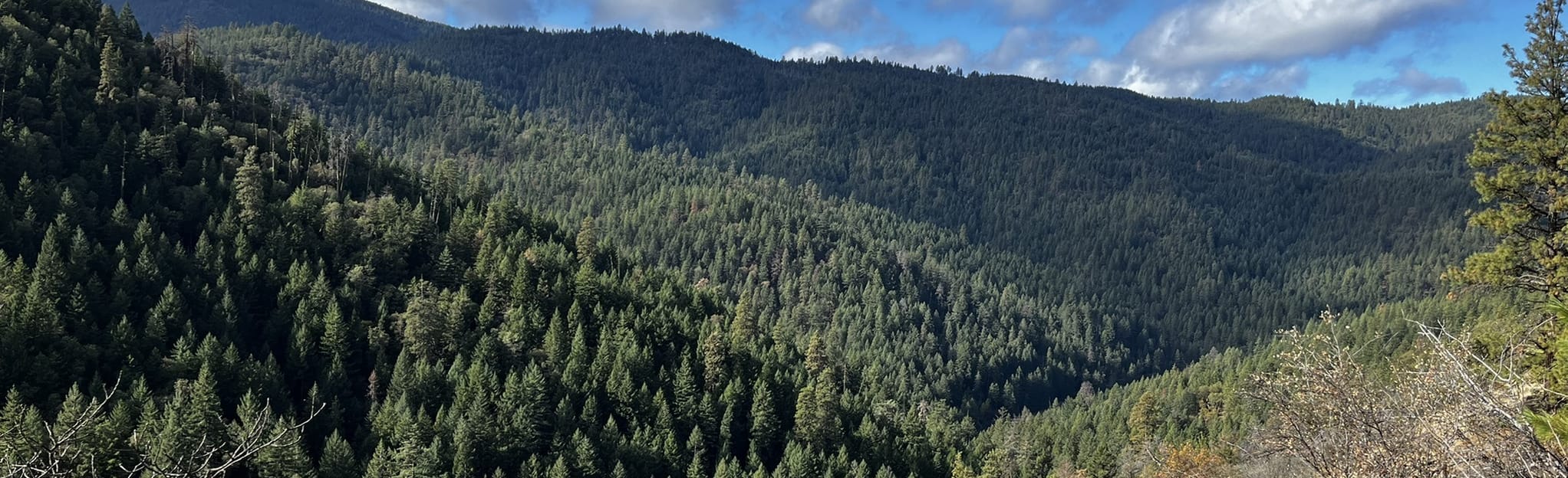 Lamb Mine Trail: 12 Reviews, Map - Oregon | AllTrails