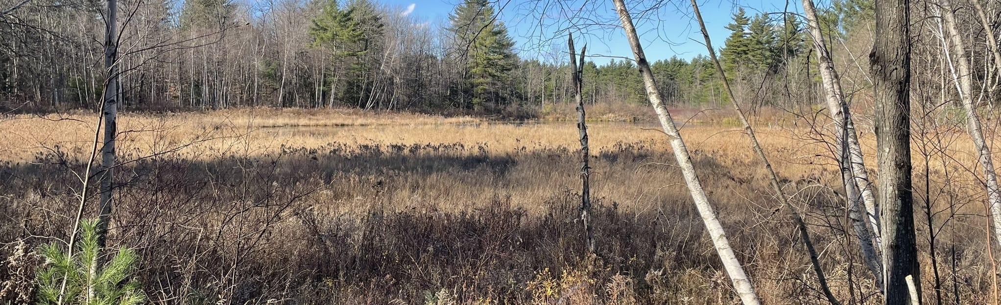 AllTrails | Brookfield Headwaters Trail: 3 Reviews, Map - New York