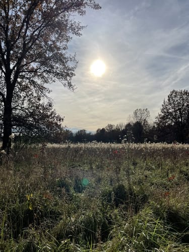 Best Hikes and Trails in Fort Daniel Conservation Area | AllTrails