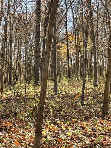 Best Hikes and Trails in Fort Daniel Conservation Area | AllTrails