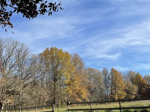 Best Hikes and Trails in Fort Daniel Conservation Area | AllTrails