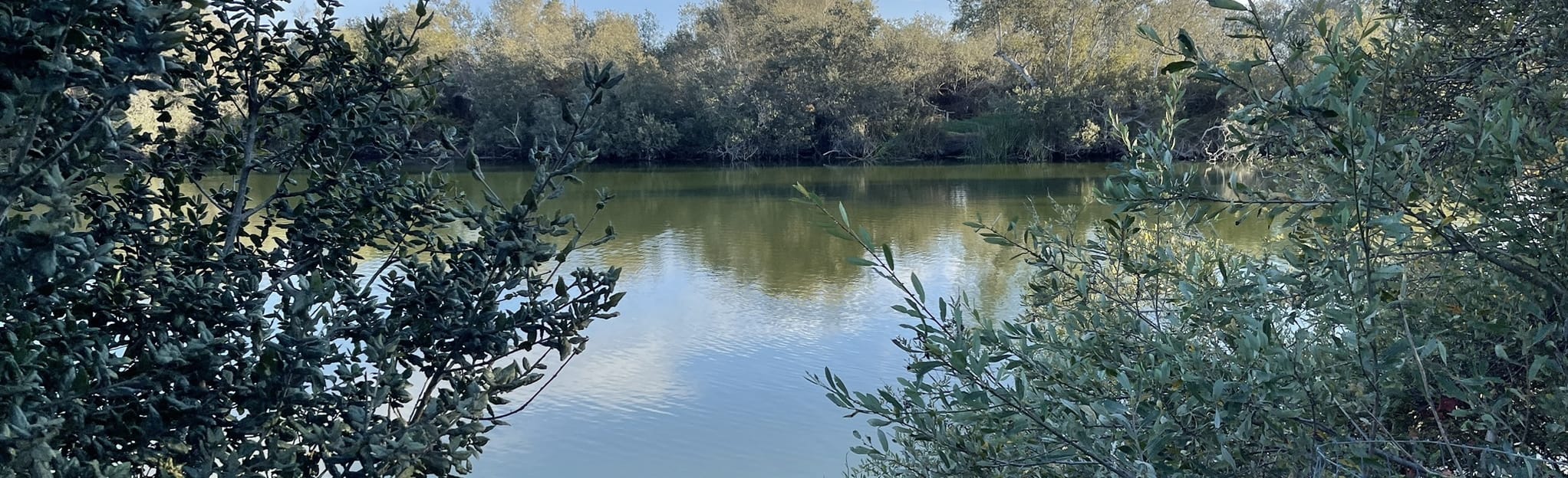 Guiton Trail Oceano Lagoon, California - 147 Reviews, Map | AllTrails