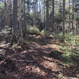 Mahoosuc Traverse, Maine - 35 Reviews, Map | AllTrails