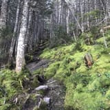Mahoosuc Traverse, Maine - 35 Reviews, Map | AllTrails