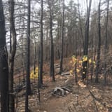 Mahoosuc Traverse, Maine - 34 Reviews, Map | AllTrails