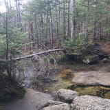 Mahoosuc Traverse, Maine - 34 Reviews, Map | AllTrails