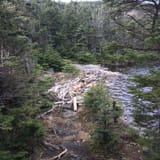 Mahoosuc Traverse, Maine - 34 Reviews, Map | AllTrails