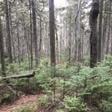 Mahoosuc Traverse, Maine - 34 Reviews, Map | AllTrails