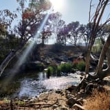 Modderfontein Dam Trail, Gauteng, South Africa - 372 Reviews, Map ...