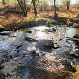 Modderfontein Dam Trail, Gauteng, South Africa - 372 Reviews, Map ...