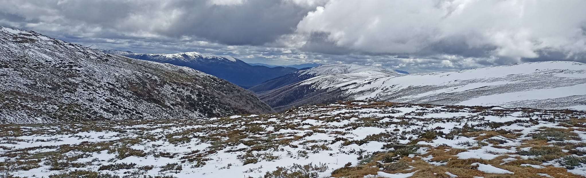 Big River Fire Trail to Mount Nelse: 2 Reviews, Map - Victoria ...