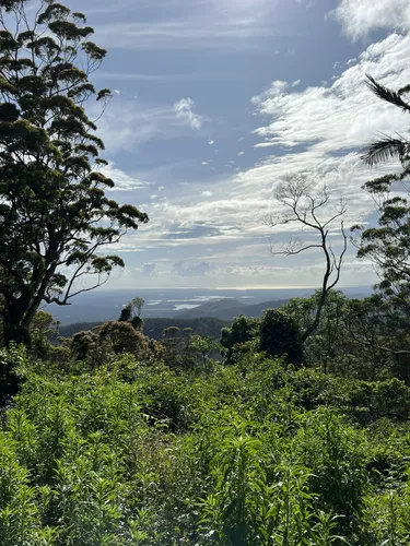 10 Best Trails and Hikes in Mount Glorious | AllTrails