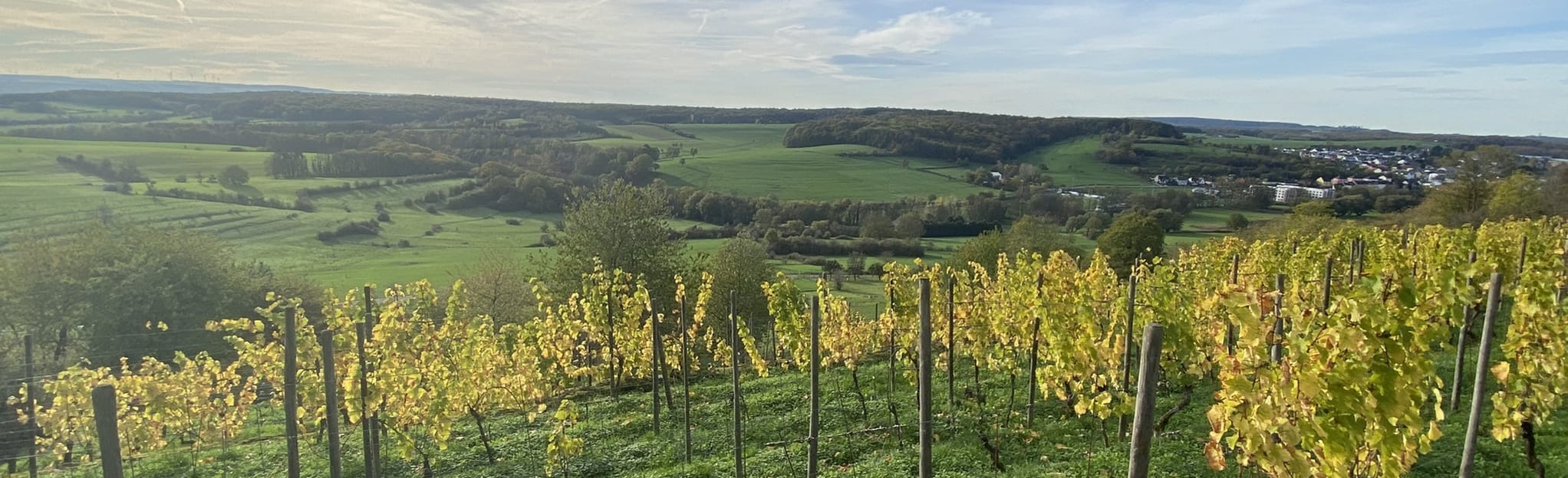 Auto-Pédestre Canach: 13 Reviews, Map - Remich, Luxembourg | AllTrails