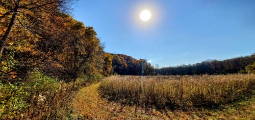 Best Hikes and Trails in Kennekuk Cove County Park | AllTrails