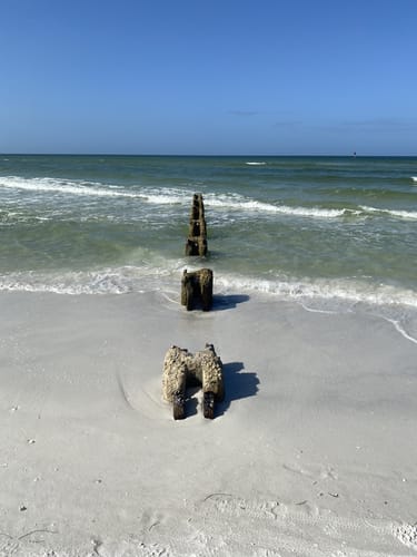 Best Hikes and Trails in Siesta Beach Park | AllTrails
