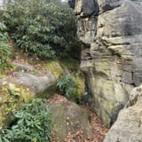 Beam Rock Trail, Pennsylvania - 424 Reviews, Map | AllTrails