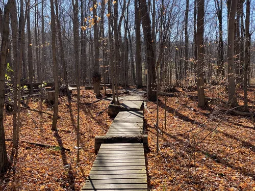 10 Best Trails and Hikes in Waterloo | AllTrails