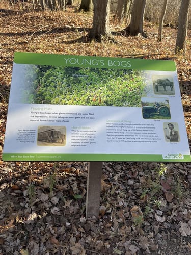 Best Hikes and Trails in Springfield Bog Metro Park | AllTrails