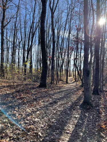 Best Hikes and Trails in Springfield Bog Metro Park | AllTrails