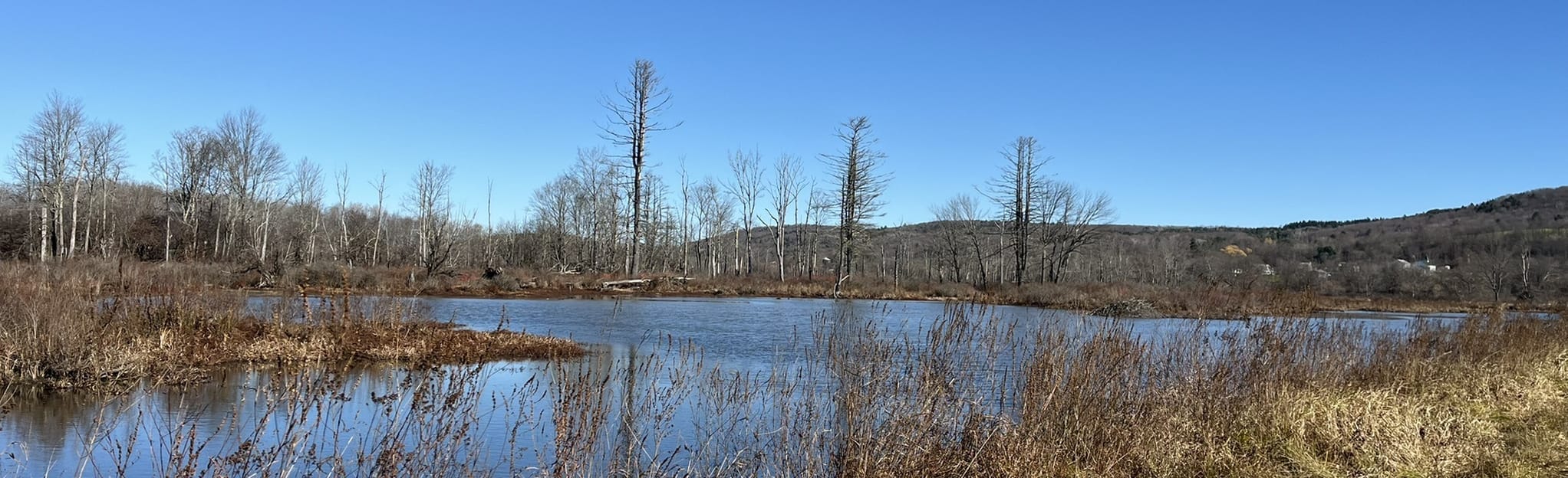 Whitney Point Multi Use Area Trail, New York - 14 Reviews, Map | AllTrails