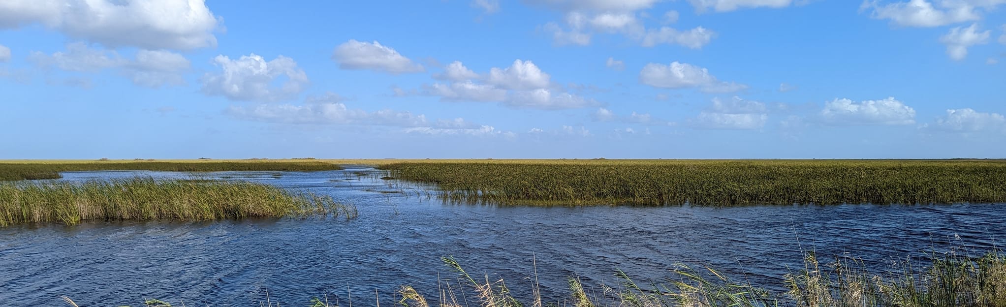 Conservation Levee Greenway Loop: 208 foto's - Florida | AllTrails