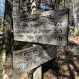 Double Spring Gap Shelter and Kuwohi via Appalachian Trail [CLOSED ...