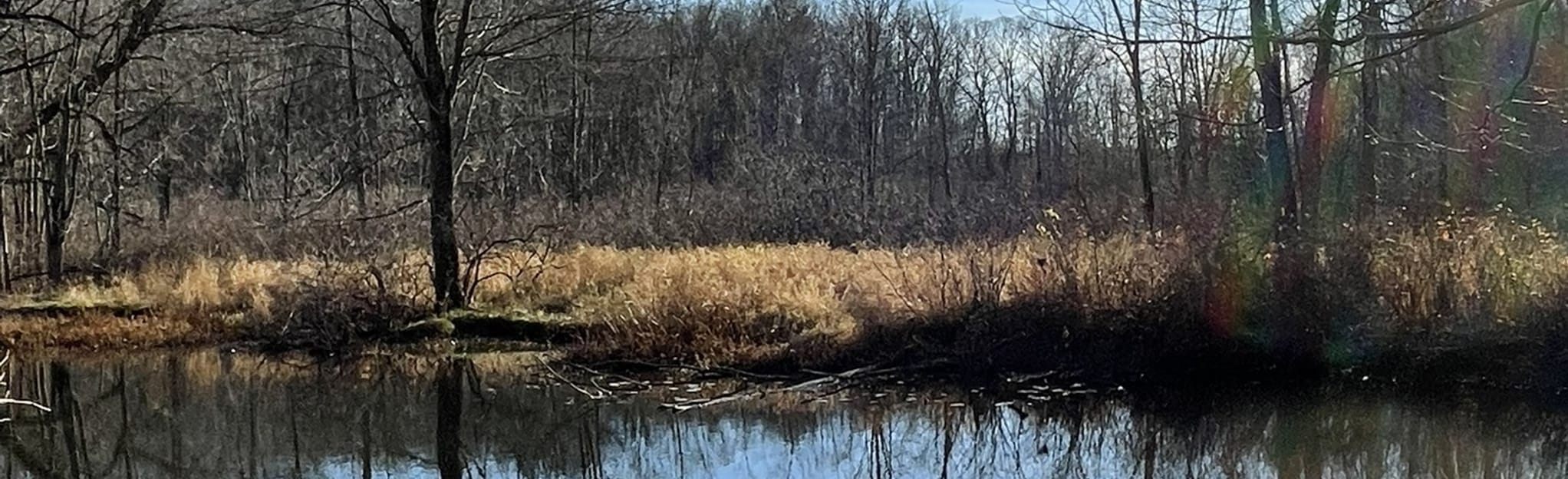 Nan Weston Preserve and Sharon Hills Trail: 81 Reviews, Map - Michigan ...