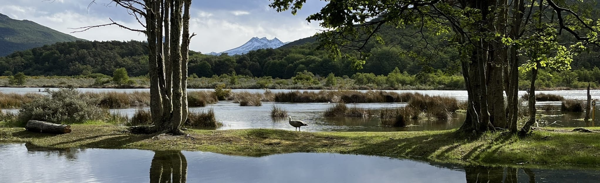 Sendero Río Lapataia - Lago Acigami - Tierra Del Fuego, Argentina ...