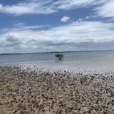 Wellington Point to King Island Sand Bar Walk, Queensland, Australia ...