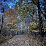 Howard Temin Lakeshore Path, Wisconsin - 436 Reviews, Map | AllTrails