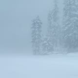 Thorp Lake via Thorp Creek Trail, Washington - 136 Reviews, Map | AllTrails