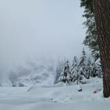 Thorp Lake via Thorp Creek Trail, Washington - 136 Reviews, Map | AllTrails