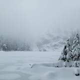 Thorp Lake via Thorp Creek Trail, Washington - 173 Reviews, Map | AllTrails