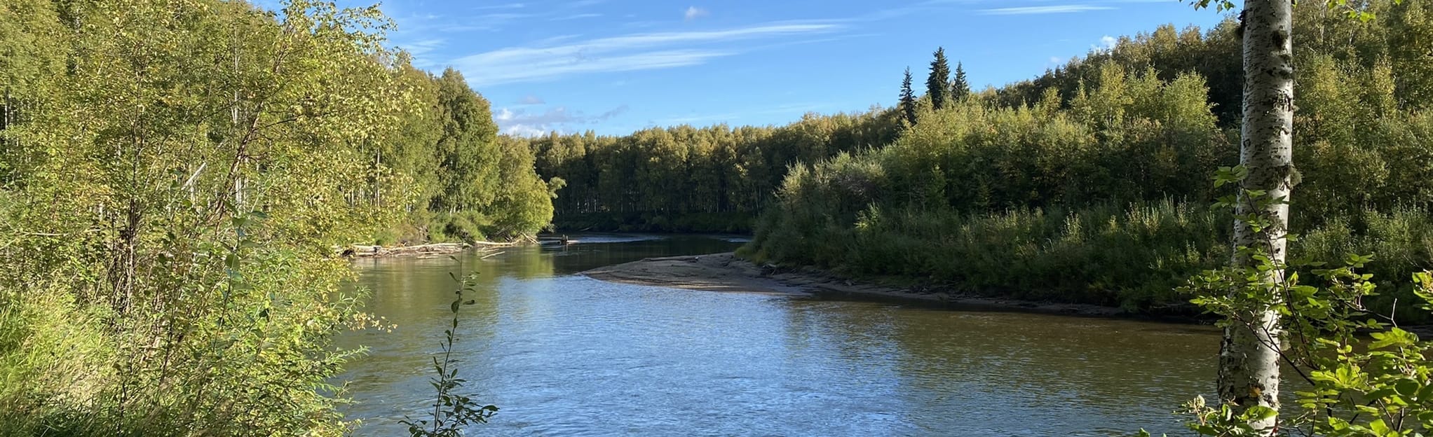 Chena River Nature Trail - Alaska | AllTrails