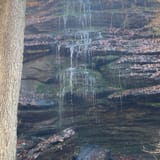 Fall Hollow Falls Trail, Tennessee - 173 Reviews, Map | AllTrails