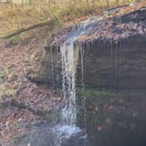 Fall Hollow Falls Trail, Tennessee - 173 Reviews, Map | AllTrails