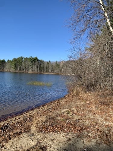 Best Hikes and Trails in Range Ponds State Park | AllTrails