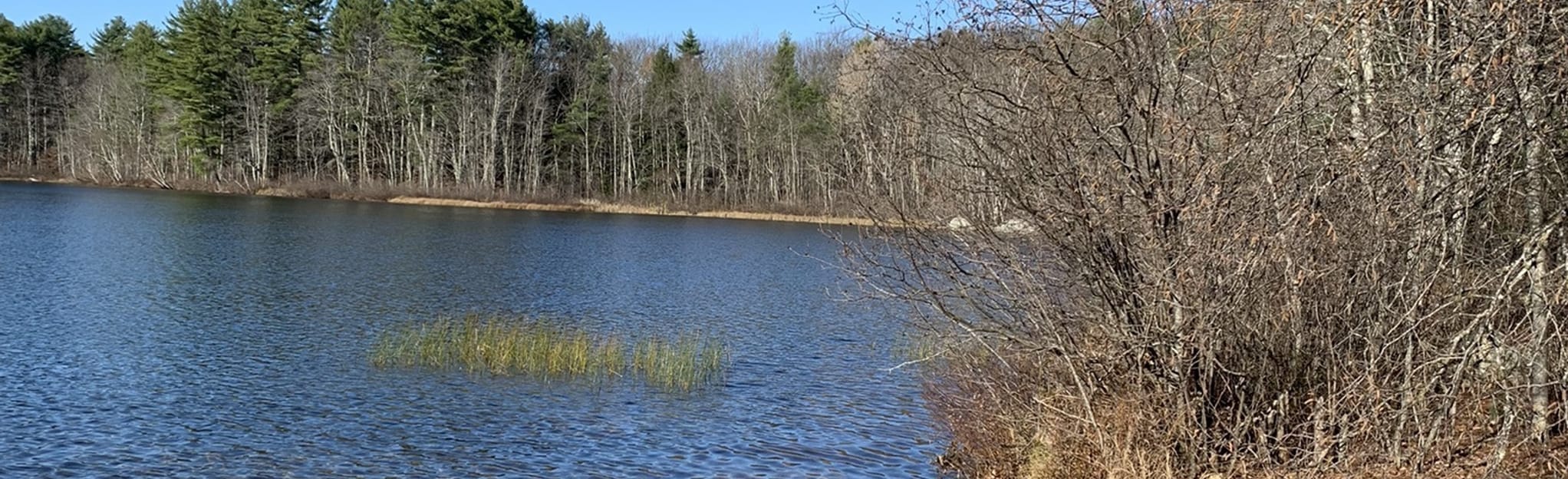 Range Pond Loop: 112 Reviews, Map - Maine | AllTrails