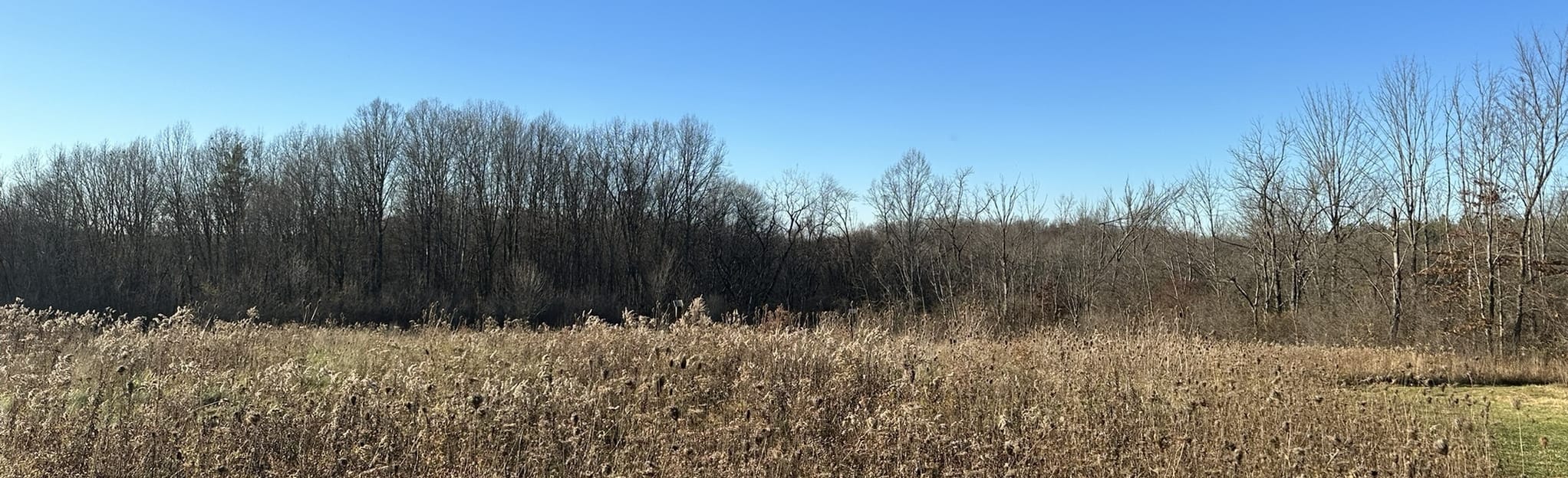 Adams Run Trail Loop: 131 Reviews, Map - Ohio | AllTrails