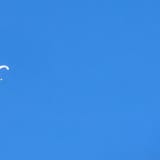 Webster and Red Cone Pass Trail, Colorado - 120 Reviews, Map | AllTrails