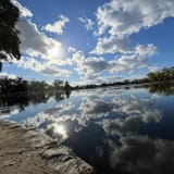 Lodi Lake Wilderness Trail, California - 750 Reviews, Map | AllTrails