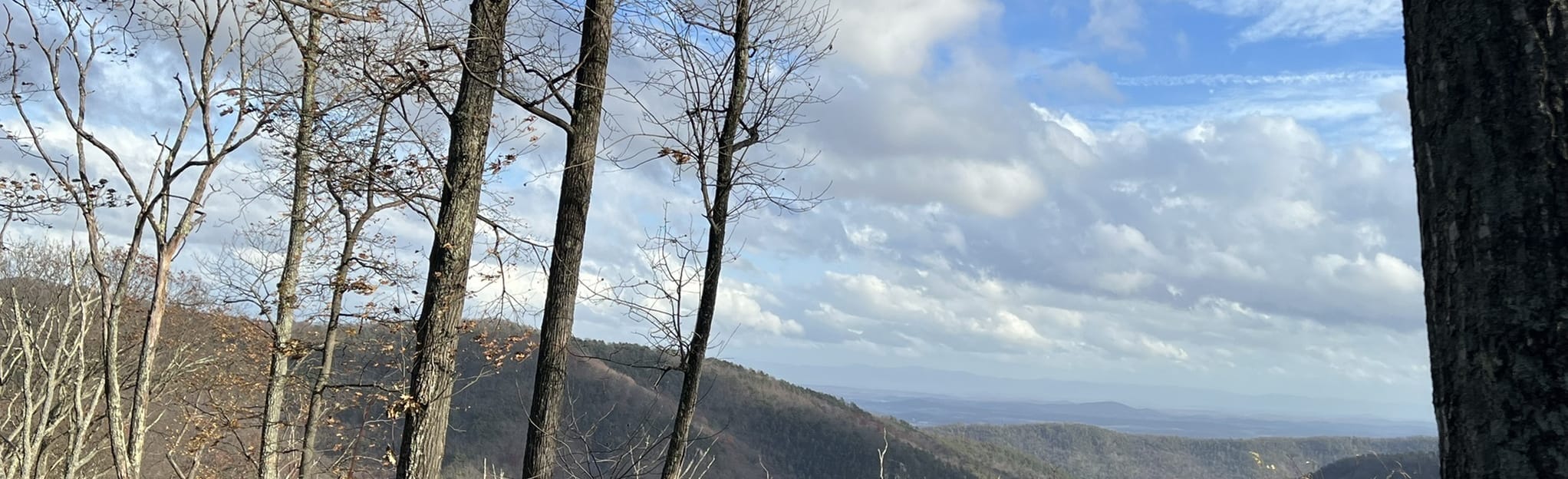 Hone Quarry Loop Trail: 217 foto's - Virginia | AllTrails