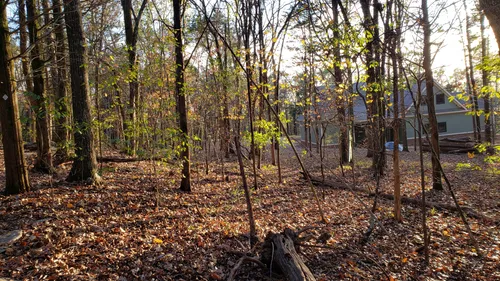 10 Best Hikes and Trails in Blevin's Gap Nature Preserve | AllTrails